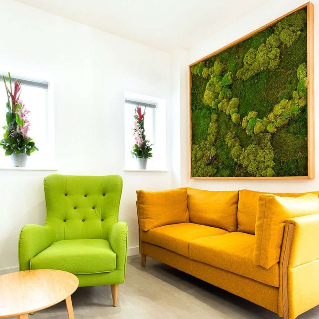 WHAT ARE MOSS WALLS? – Green Art Factory