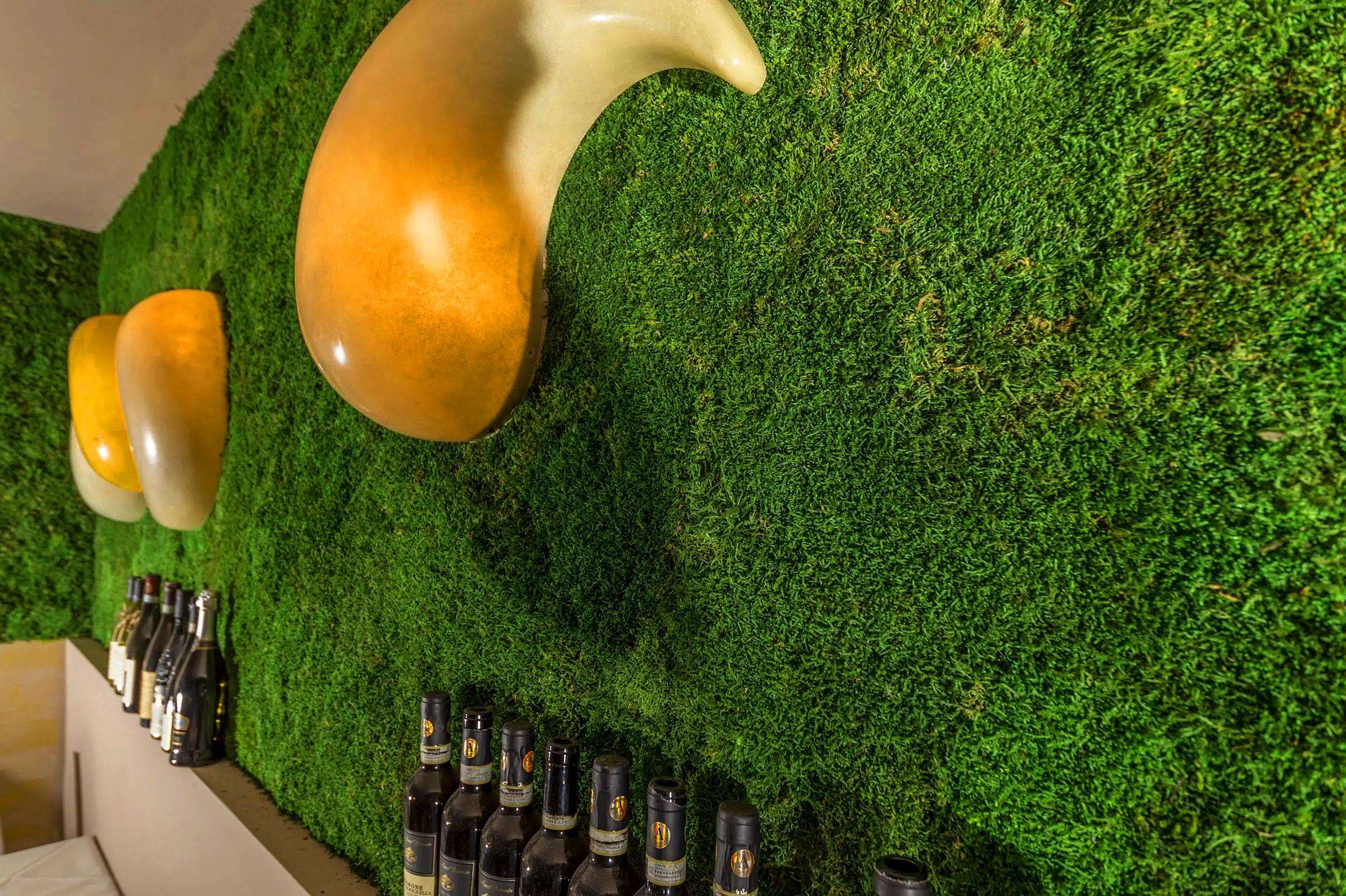 What is Sheet moss? Greenery space in Your Dubai Home or Office – Green ...